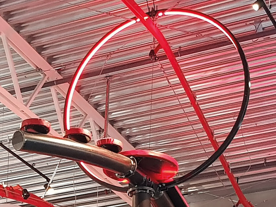 About ZipZag Rides - experts in aerial adventure course design